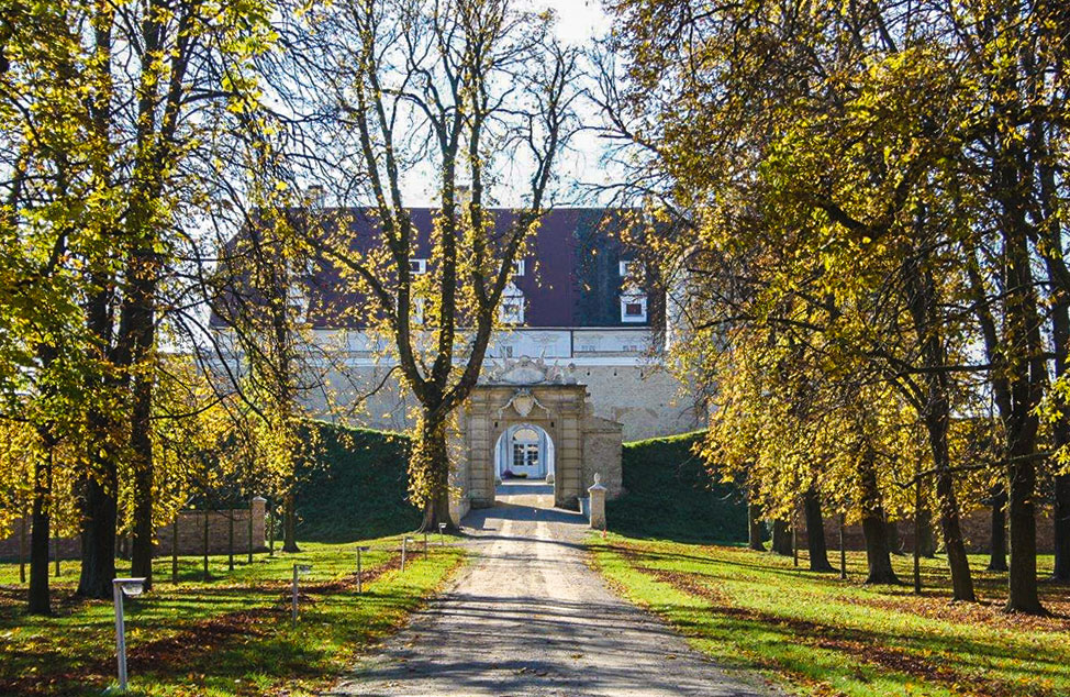 Pfingstfestival Stetteldorf – mdw-Magazin